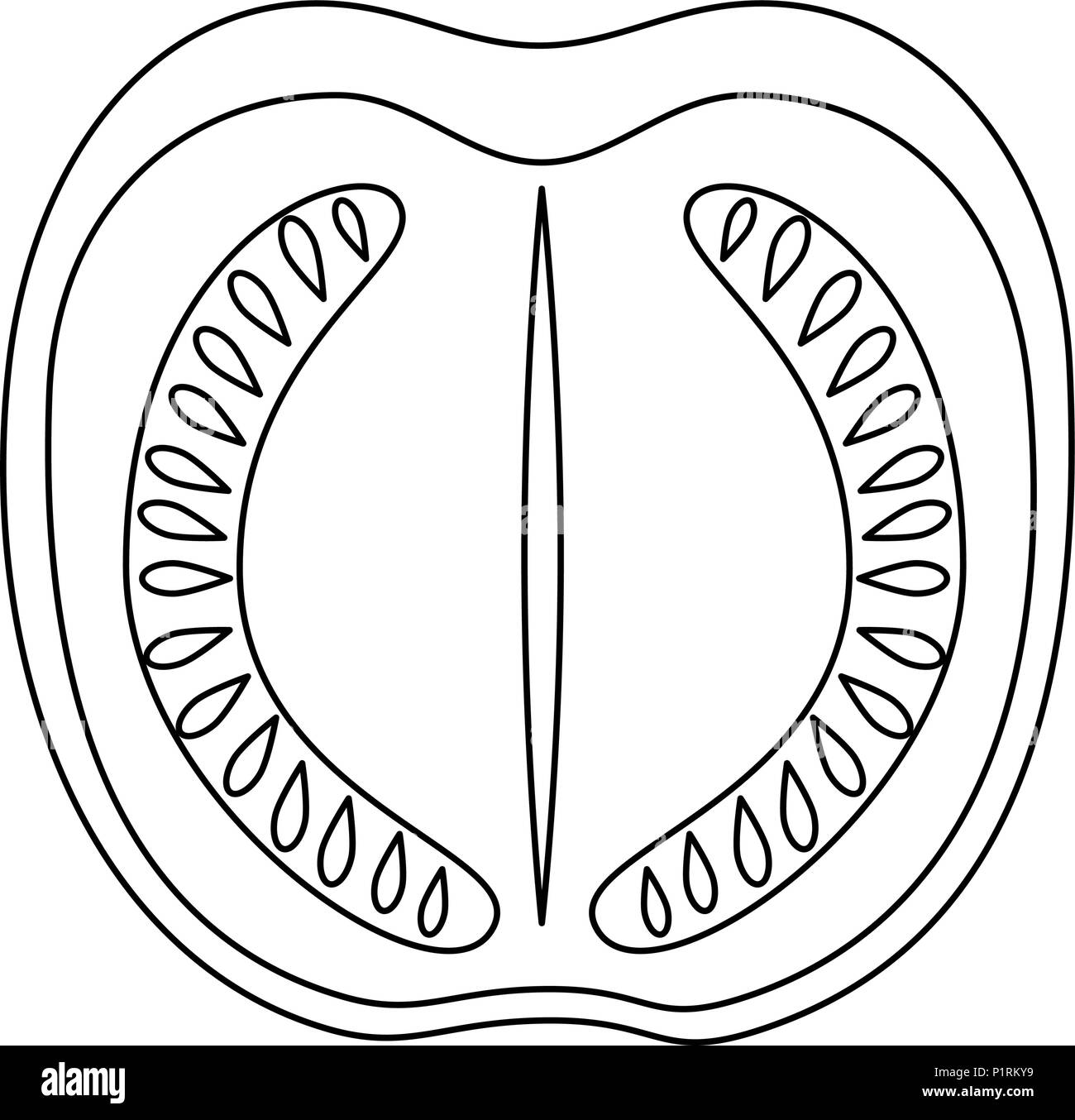 fresh tomato slide healthy food vector illustration design Stock Vector ...