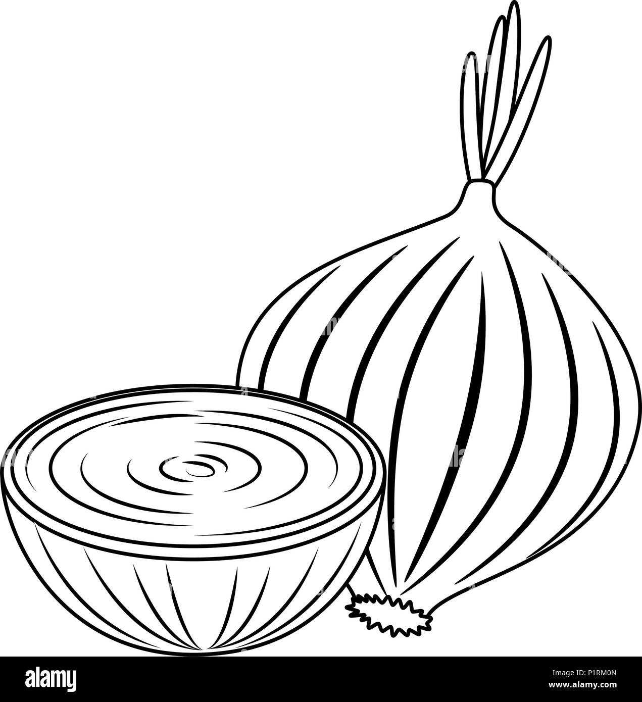 fresh onion vegetarian food vector illustration design Stock Vector ...