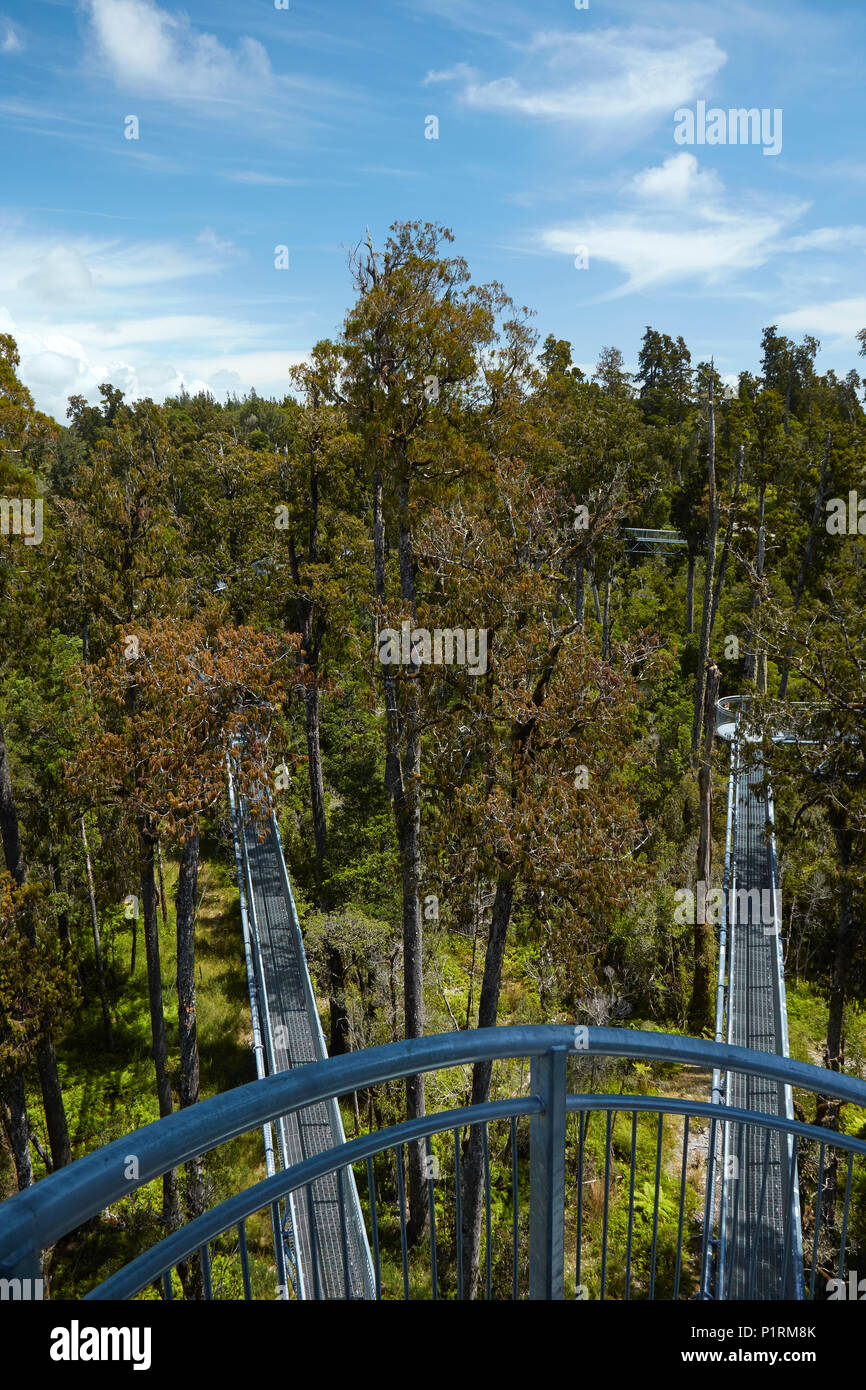 Treetop walk hi-res stock photography and images - Alamy