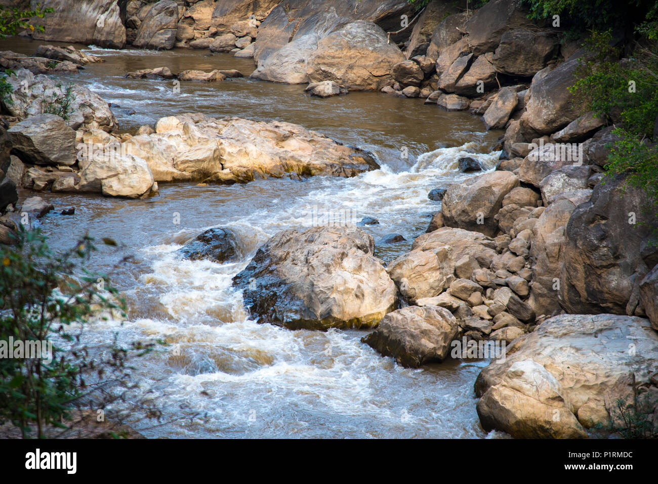 Natural stream from the forest Stock Photo - Alamy