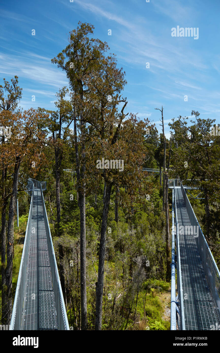 Tree top walk elevated walkway hi-res stock photography and images - Alamy