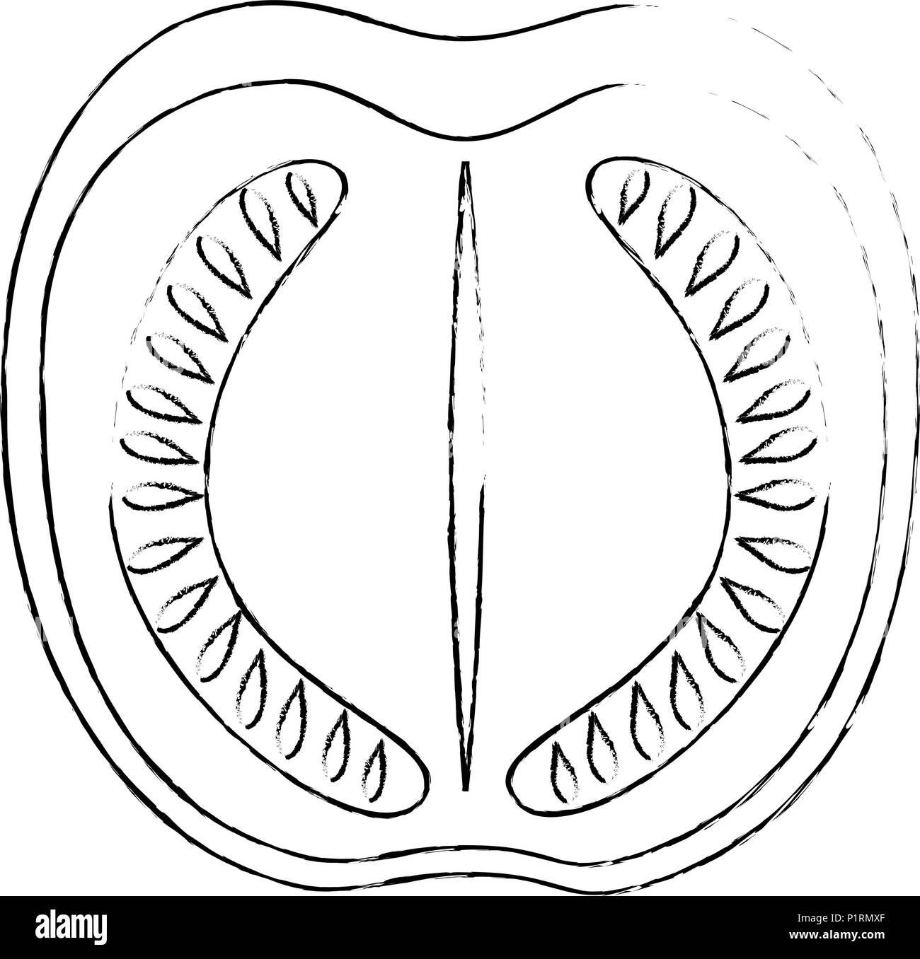 fresh tomato slide healthy food vector illustration design Stock Vector ...