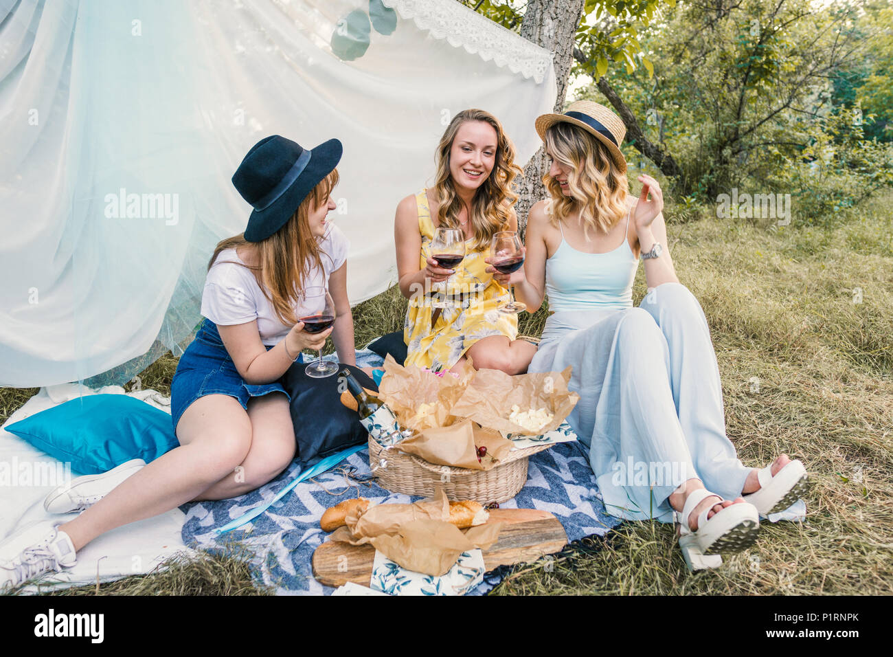 Group of girls friends making picnic outdoor. They have fun Stock Photo ...