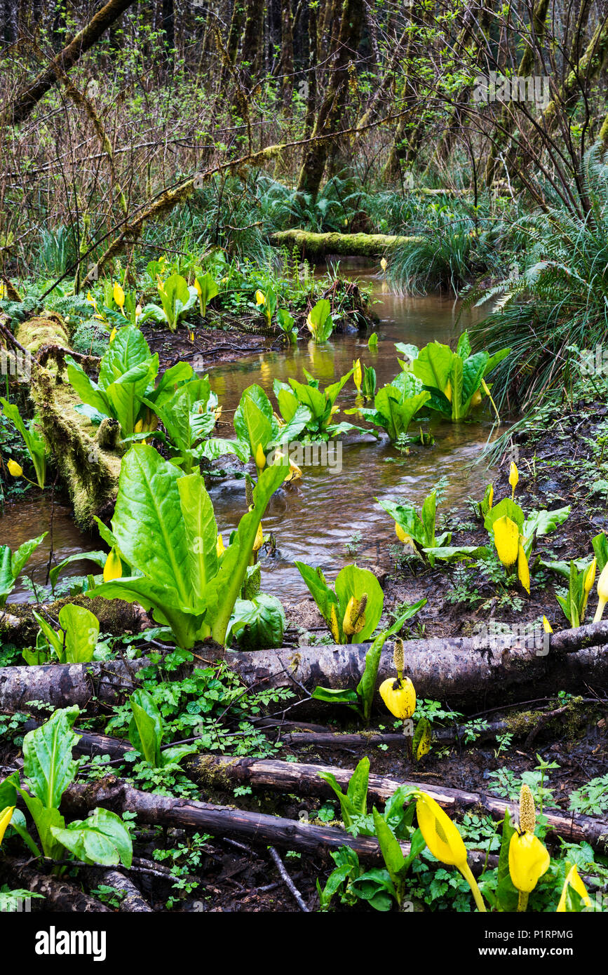 Colewort creek hi-res stock photography and images - Alamy
