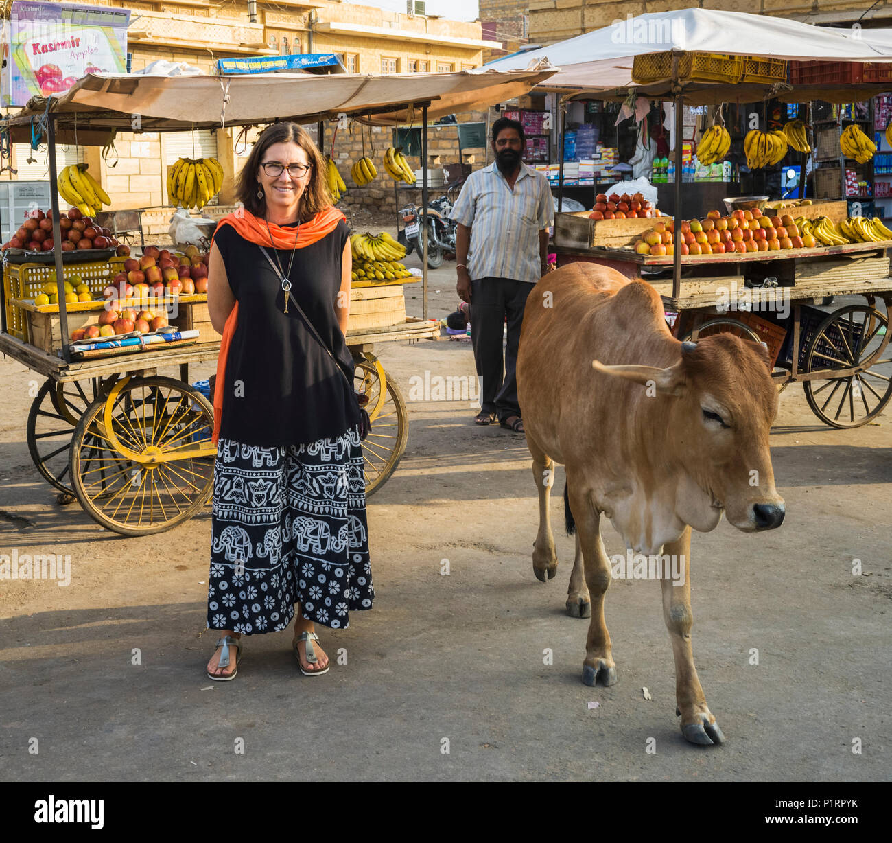 Cow cart hi-res stock photography and images - Alamy