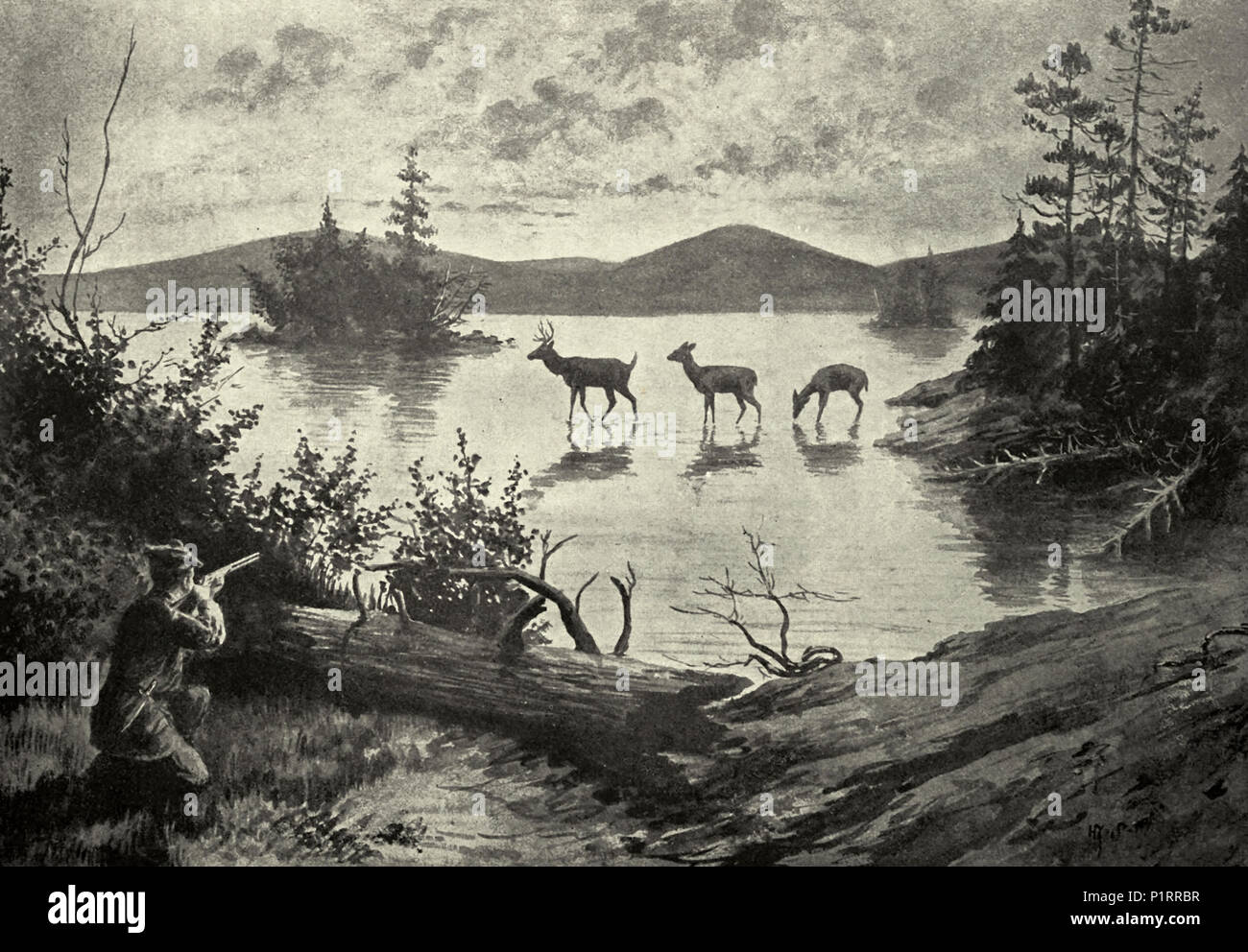 First hunt hi-res stock photography and images - Alamy