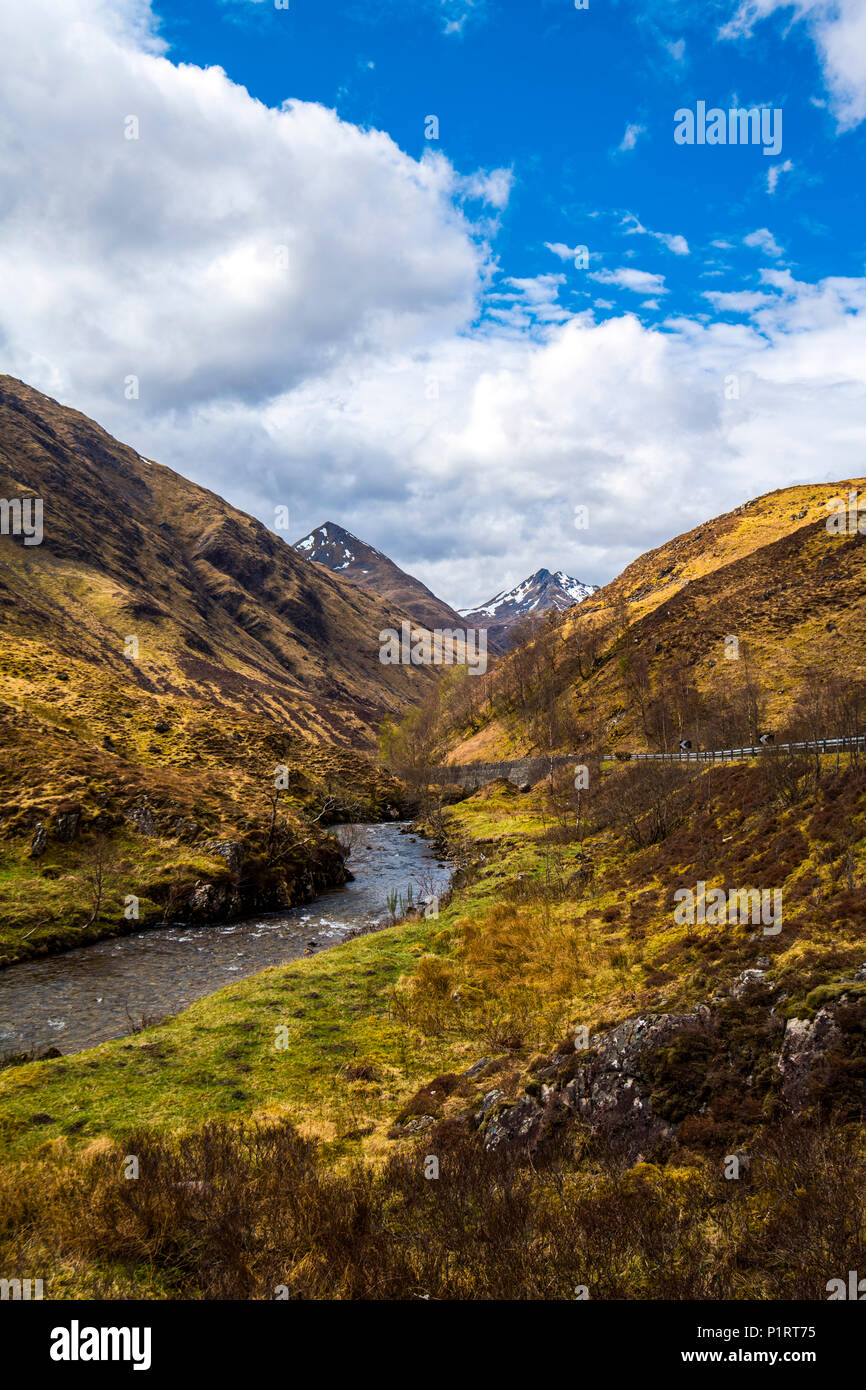 Charlie bracken hi-res stock photography and images - Alamy