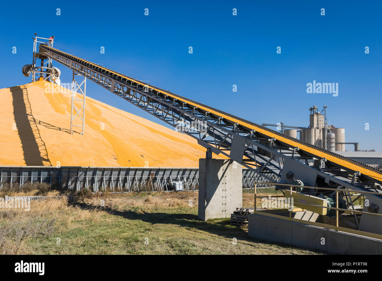 Bumper corn crop being stockpiled next to storage elevators; Rake, Iowa ...