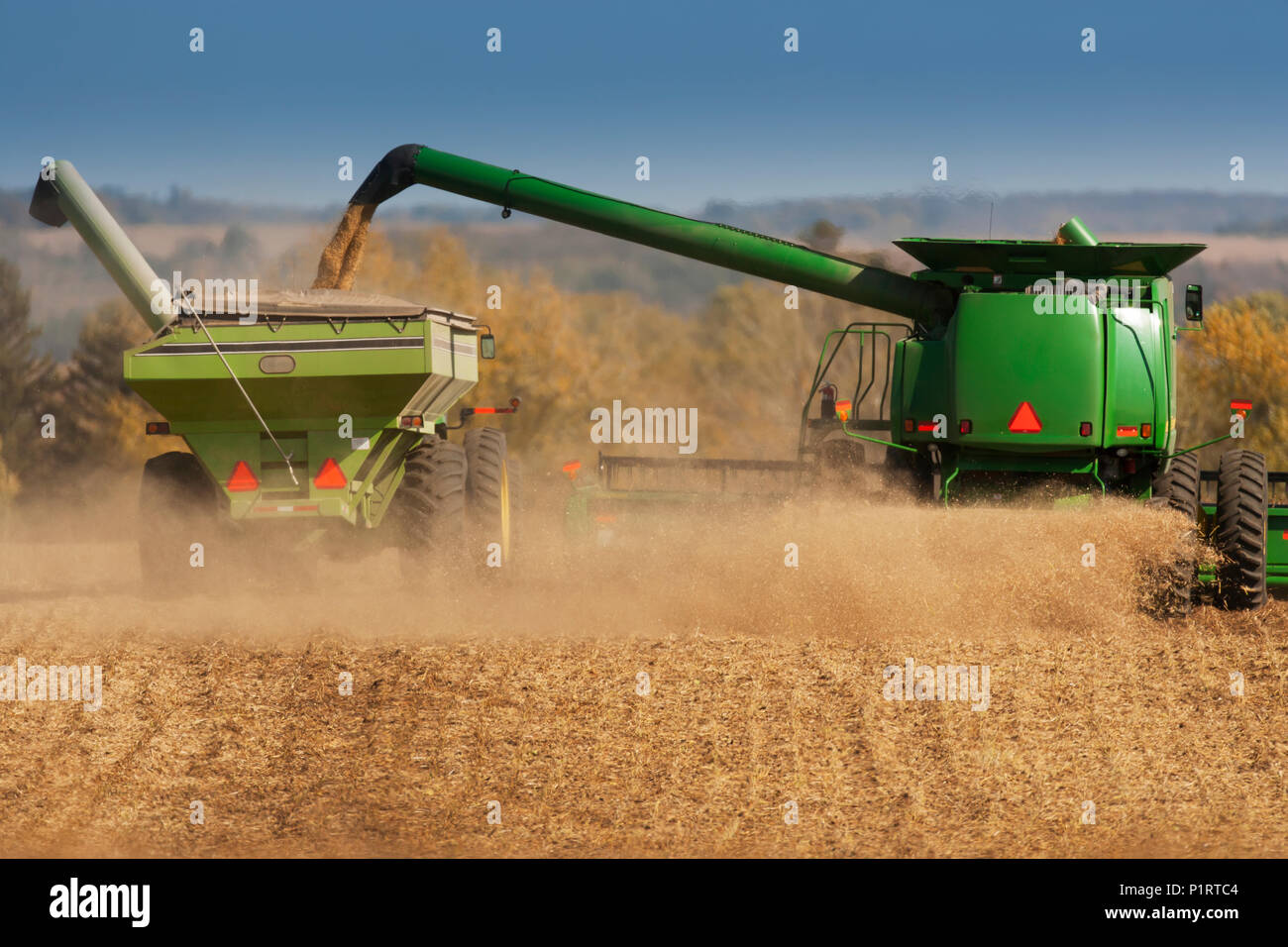 Combine picking beans during soybean harvest, near Nerstrand; Minnesota ...