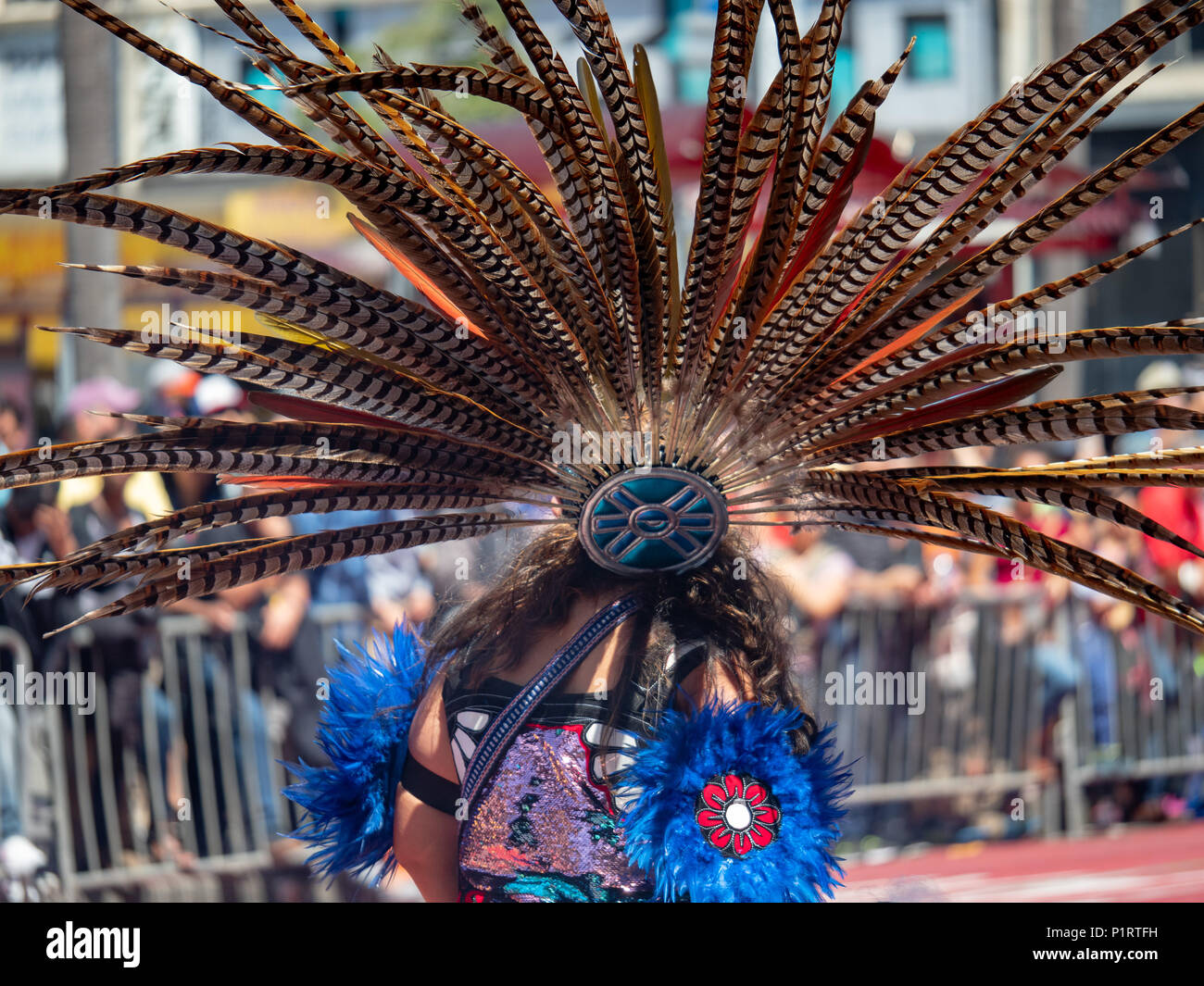 Featherwork hi-res stock photography and images - Alamy