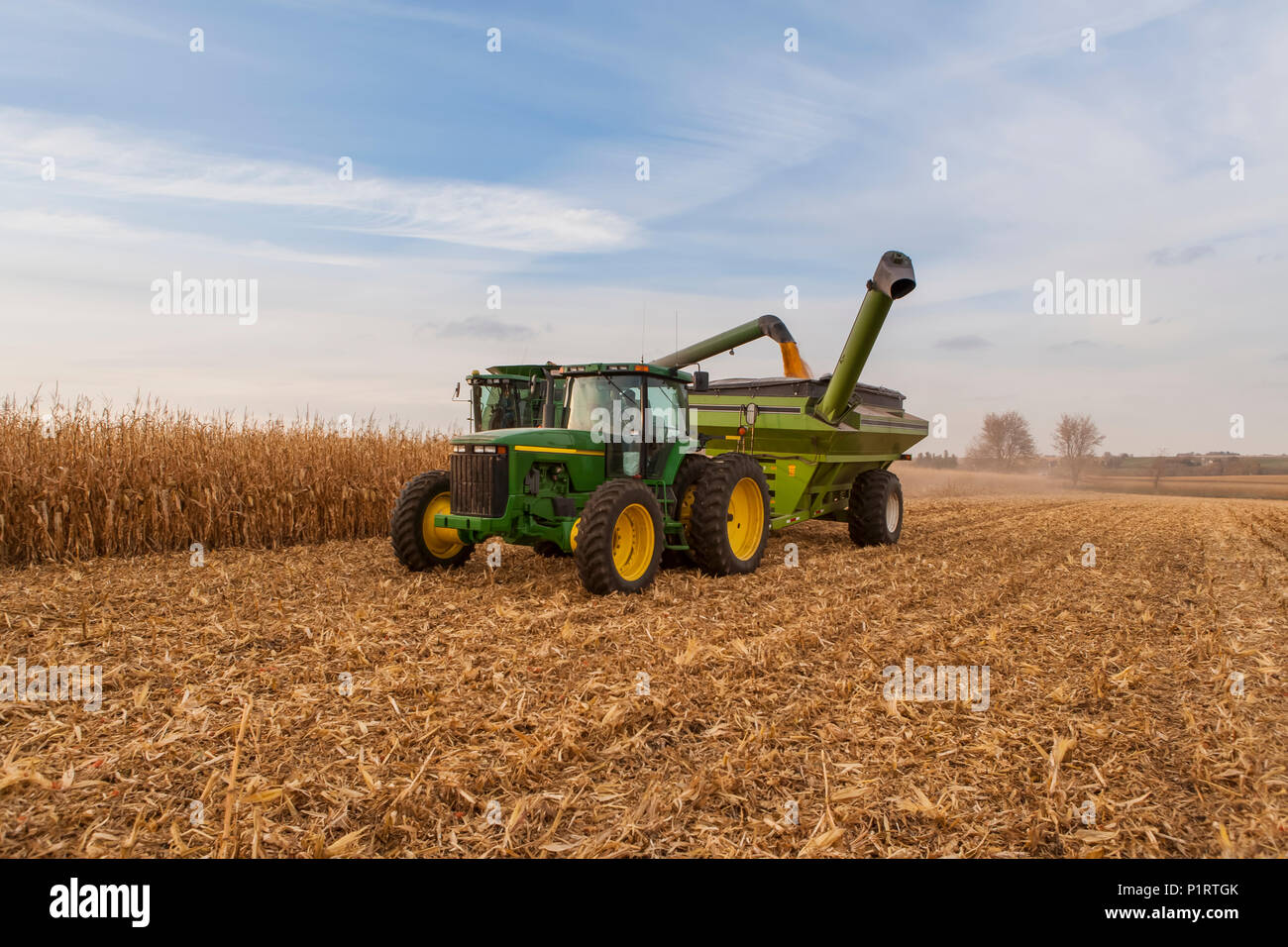 Combine unloads into a grain wagon during corn harvest, near Nerstrand ...