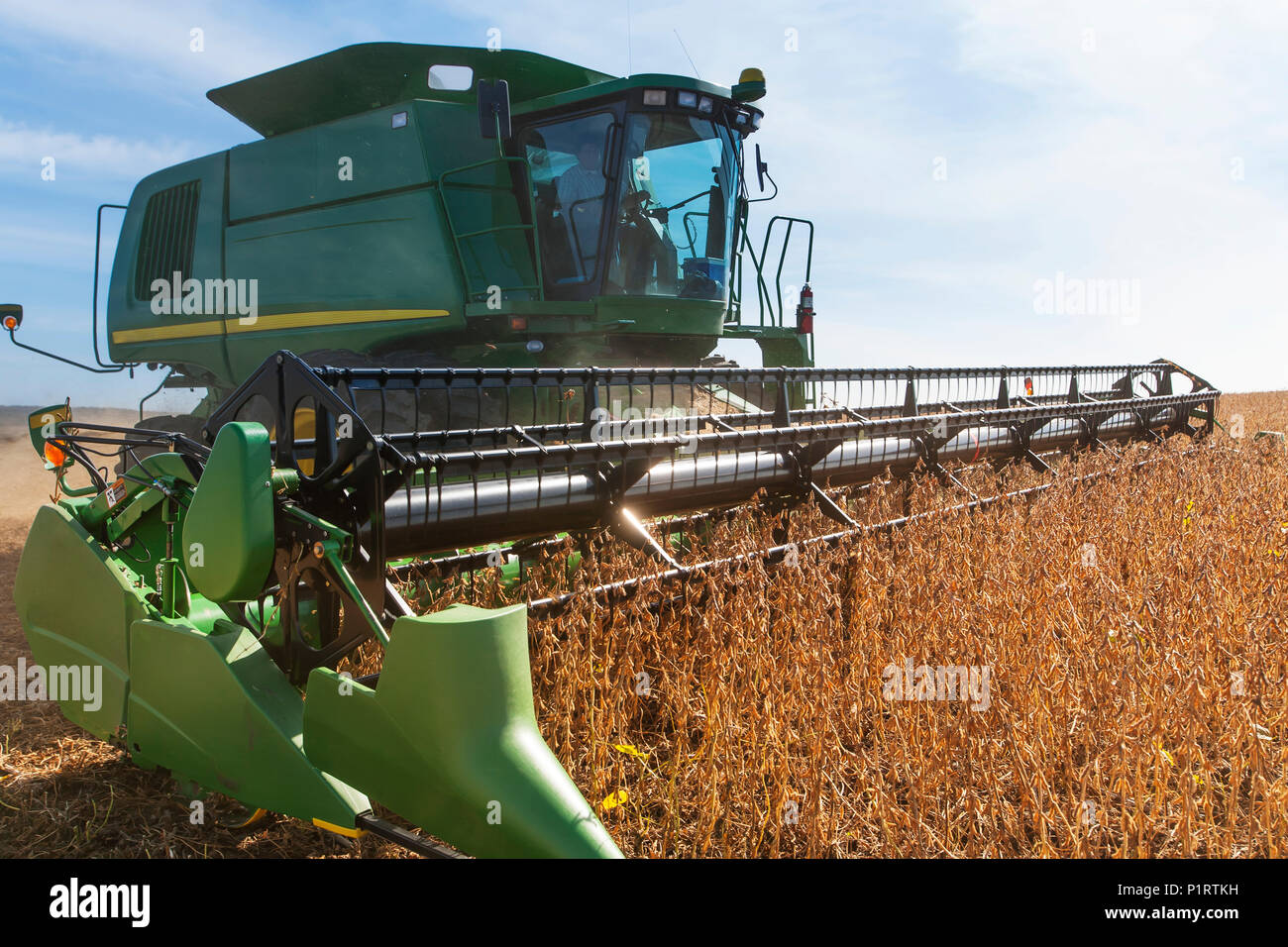Combine picking beans during soybean harvest, near Nerstrand; Minnesota ...