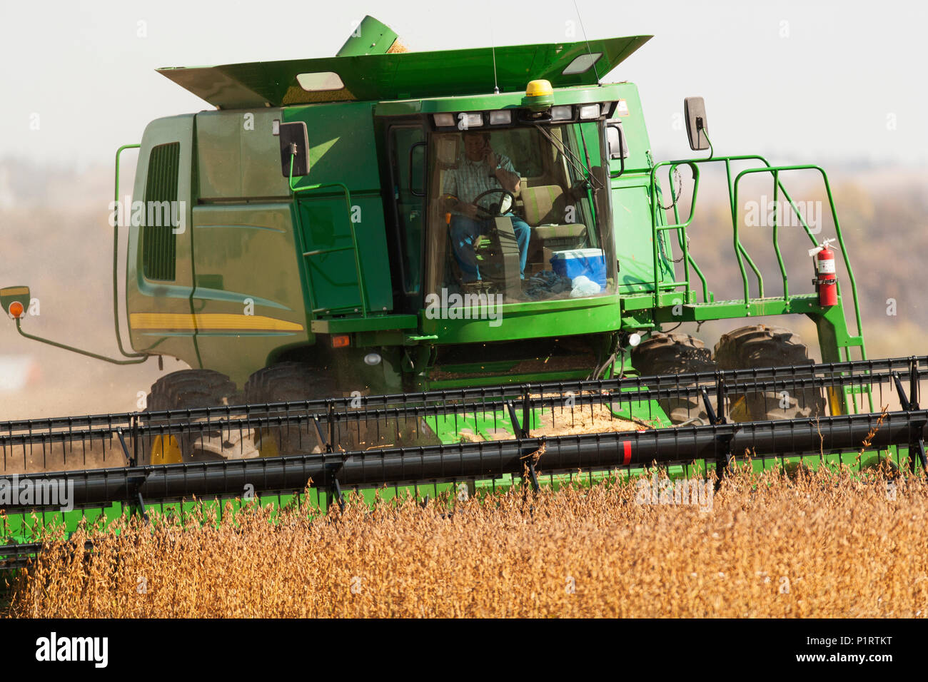 Combine picking beans during soybean harvest, near Nerstrand; Minnesota ...