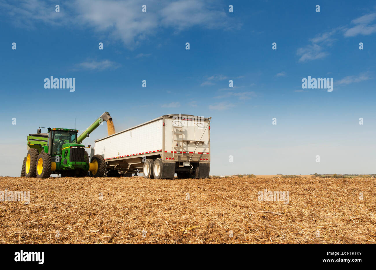 Tractor and grain wagon offloading soybeans into a truck at harvest ...