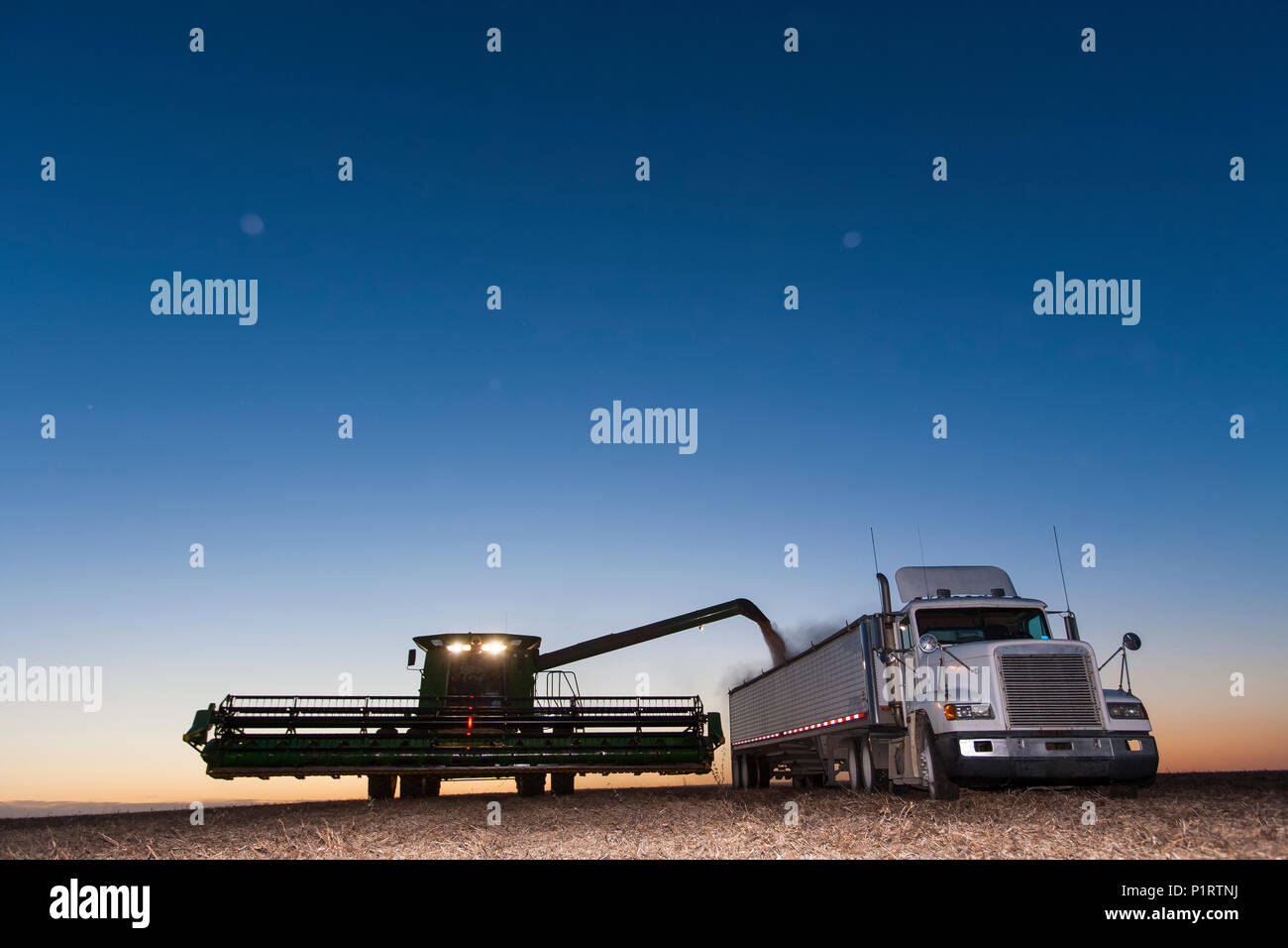 Twilight scene of combine unloading beans into grain truck during ...