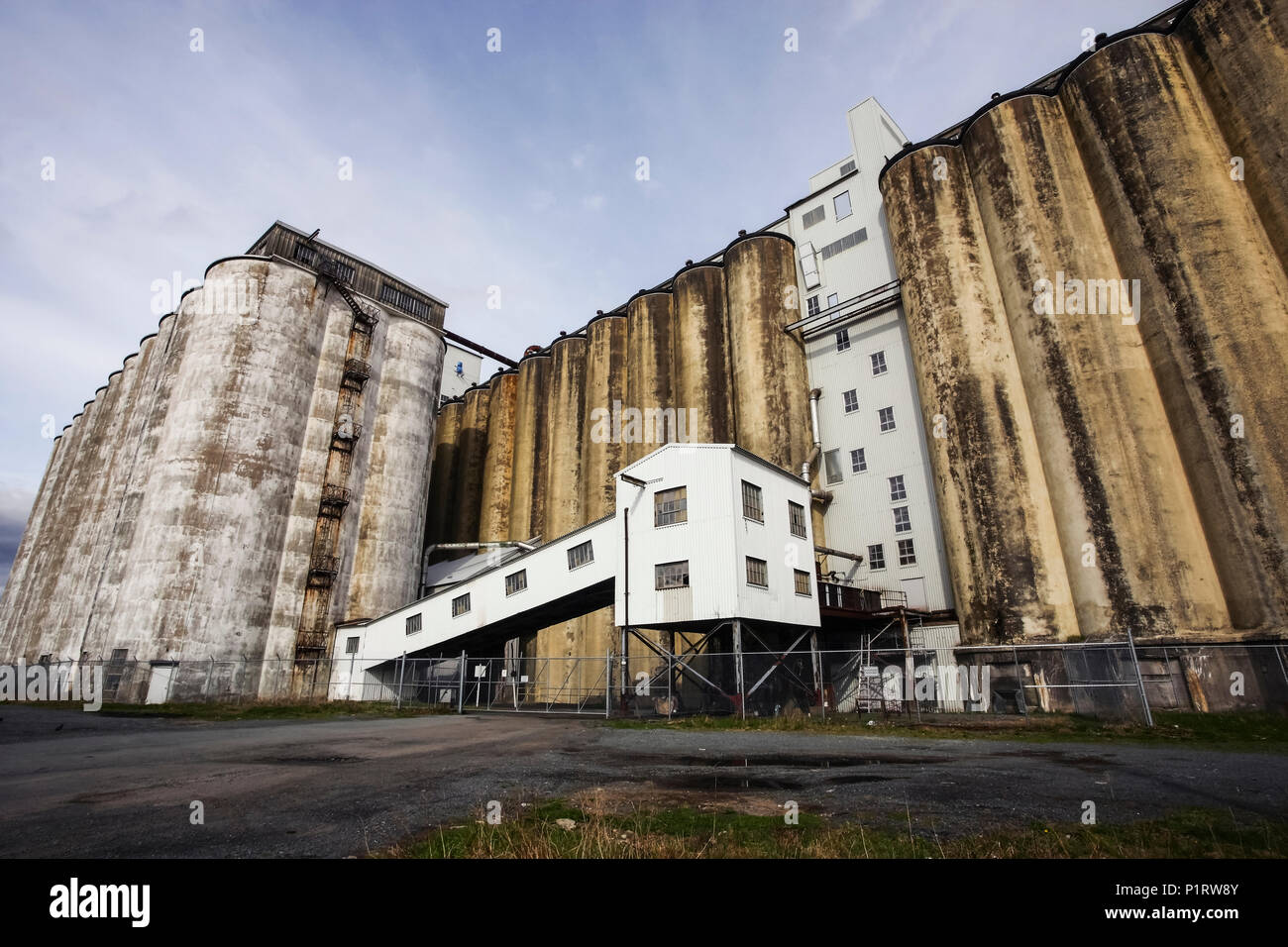 Grain silo and storage buildings in Halifax harbour; Halifax, Nova ...