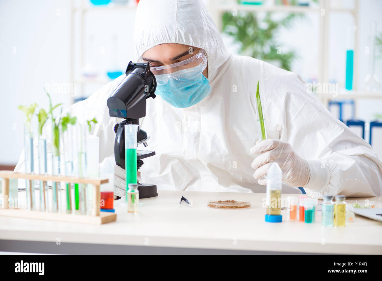 Male biochemist working in the lab on plants Stock Photo - Alamy