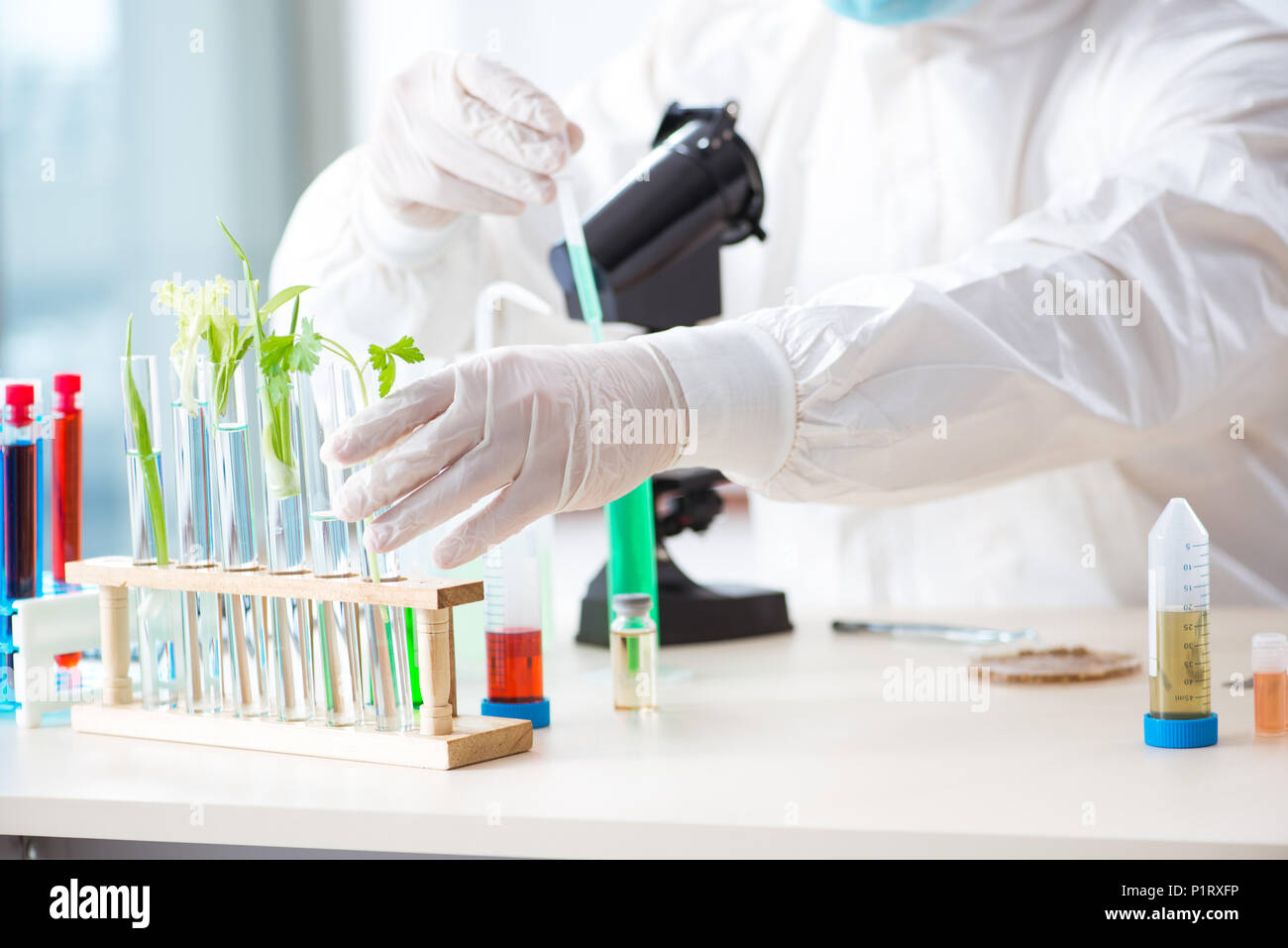 Male biochemist working in the lab on plants Stock Photo - Alamy