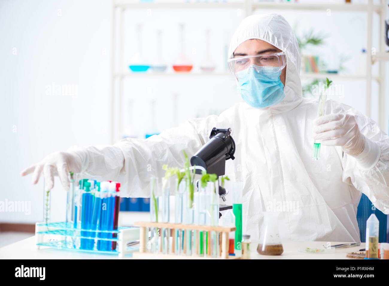 Male biochemist working in the lab on plants Stock Photo - Alamy