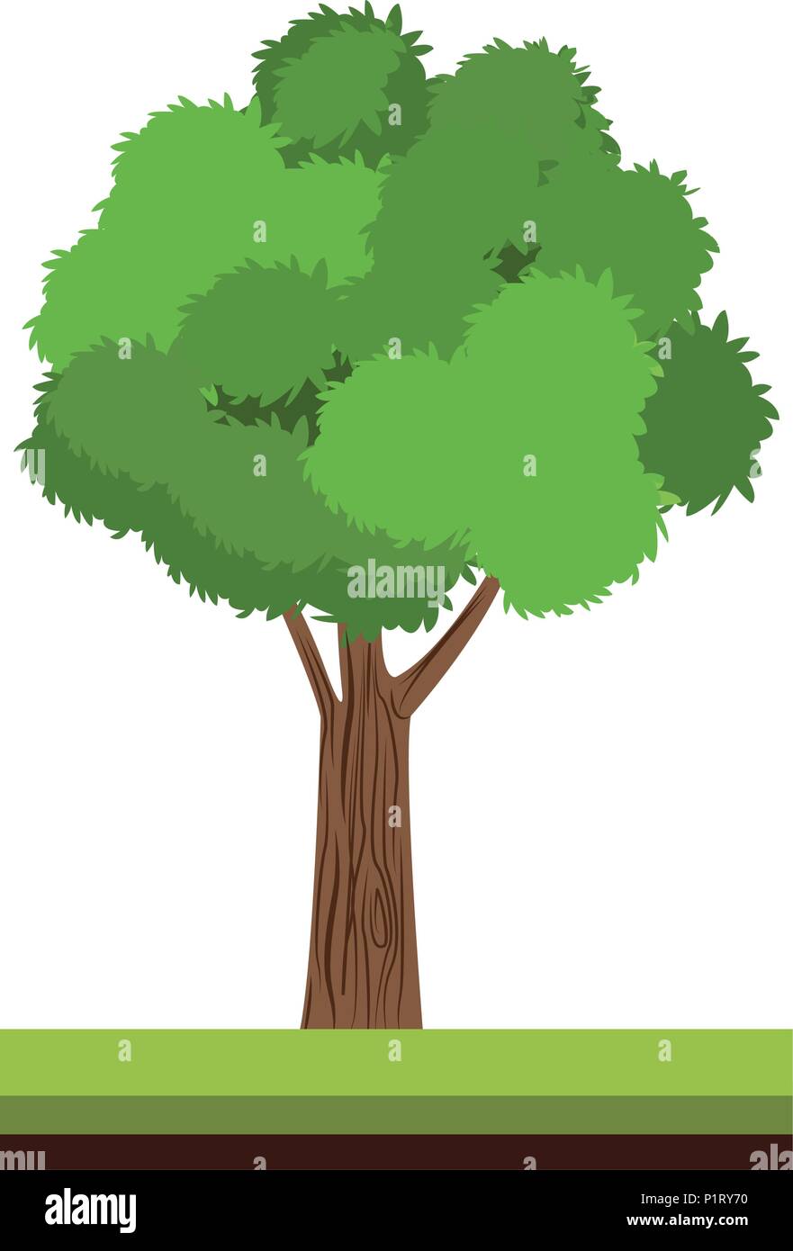 Tree on ground Stock Vector Image & Art - Alamy