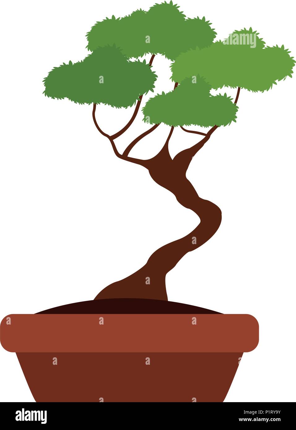 Bonsai in pot Stock Vector Image & Art - Alamy