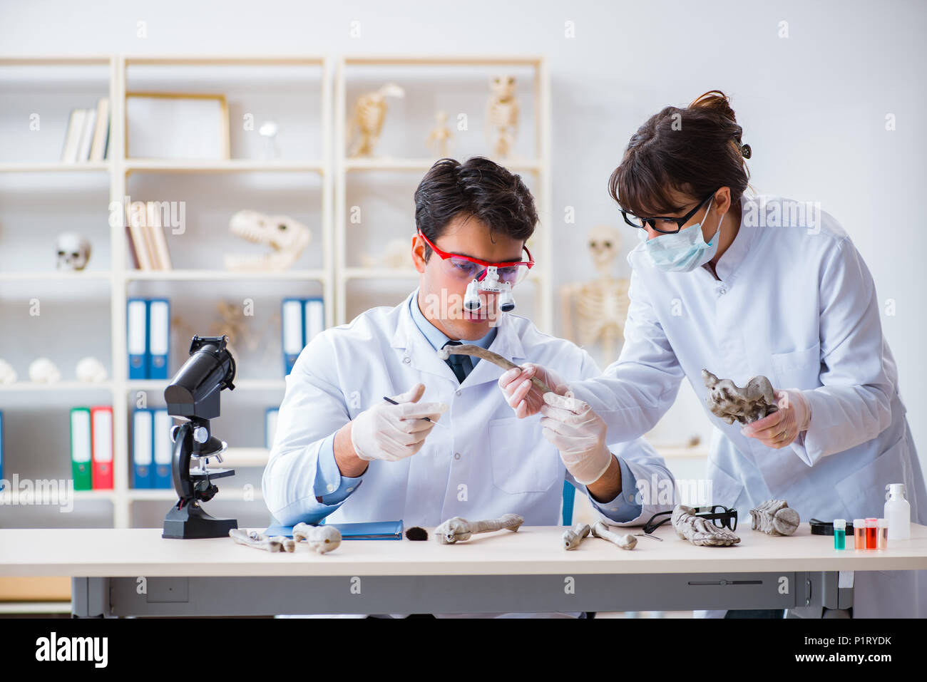 Professor studying human skeleton in lab Stock Photo - Alamy