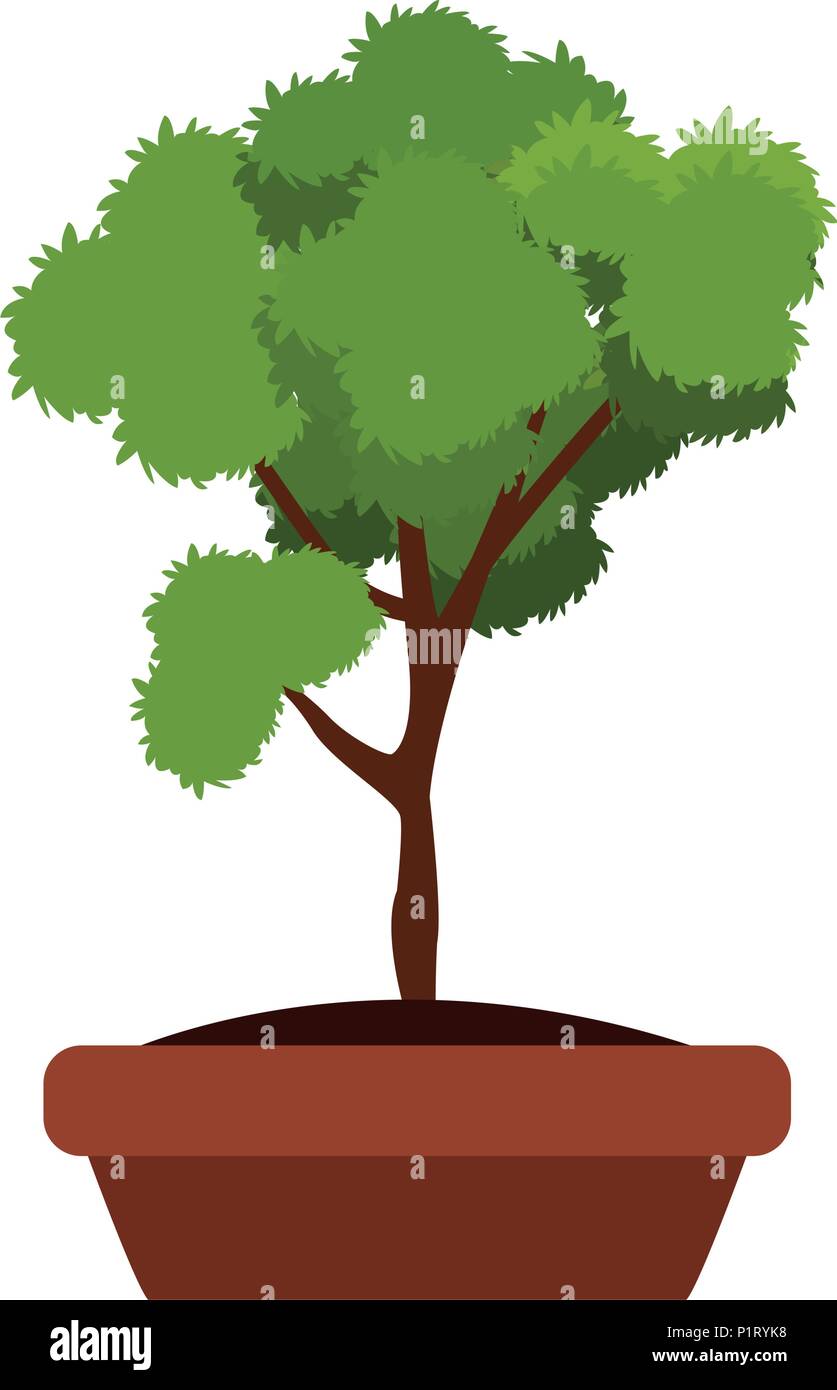 Bonsai in pot Stock Vector Image & Art - Alamy