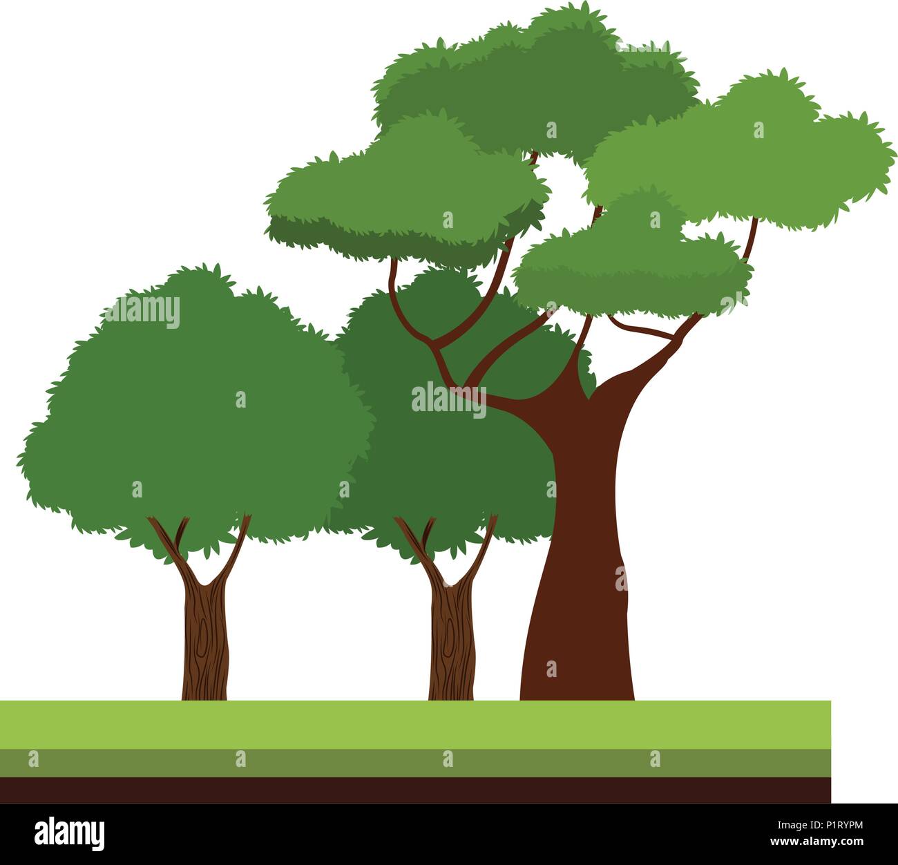 Trees on ground Stock Vector Image & Art - Alamy