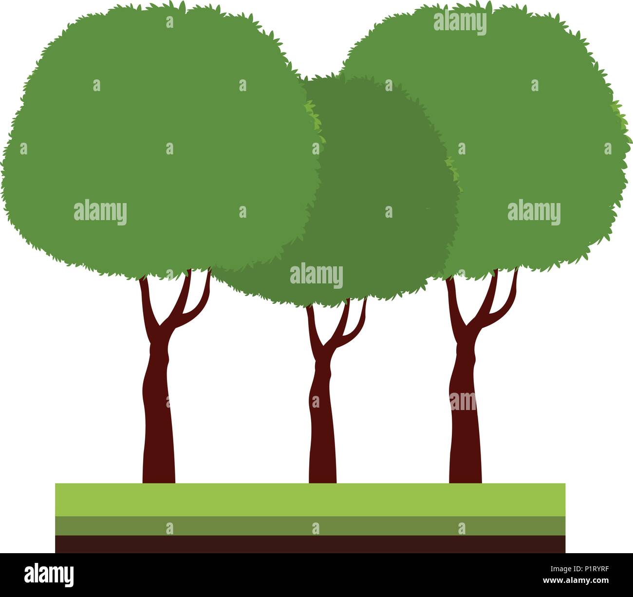 Sunlight on ground Stock Vector Images - Alamy
