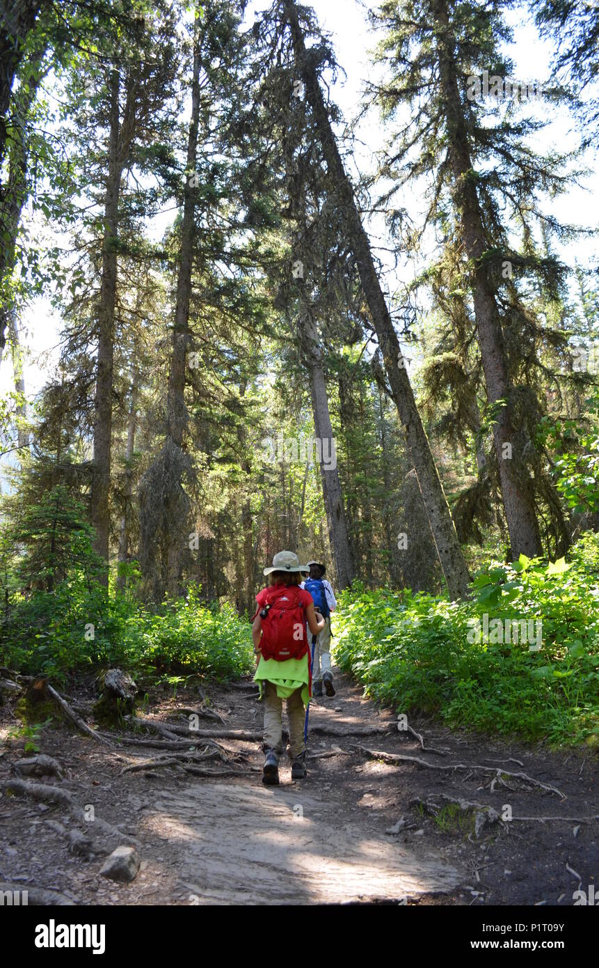 Two girls in the woods hi-res stock photography and images - Alamy