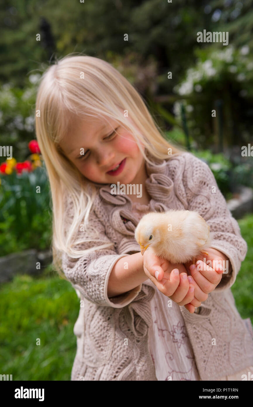 Portrait of cute young girl with baby chicken in a rural garden setting ...