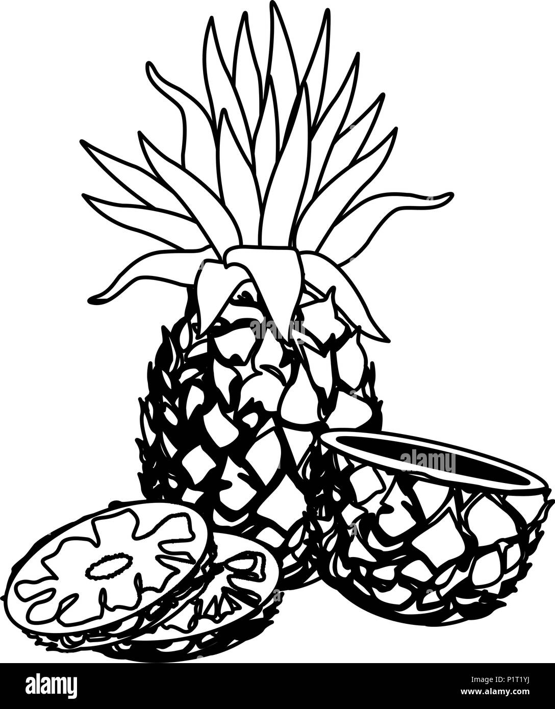 Pineapple cut in half Stock Vector Images - Alamy