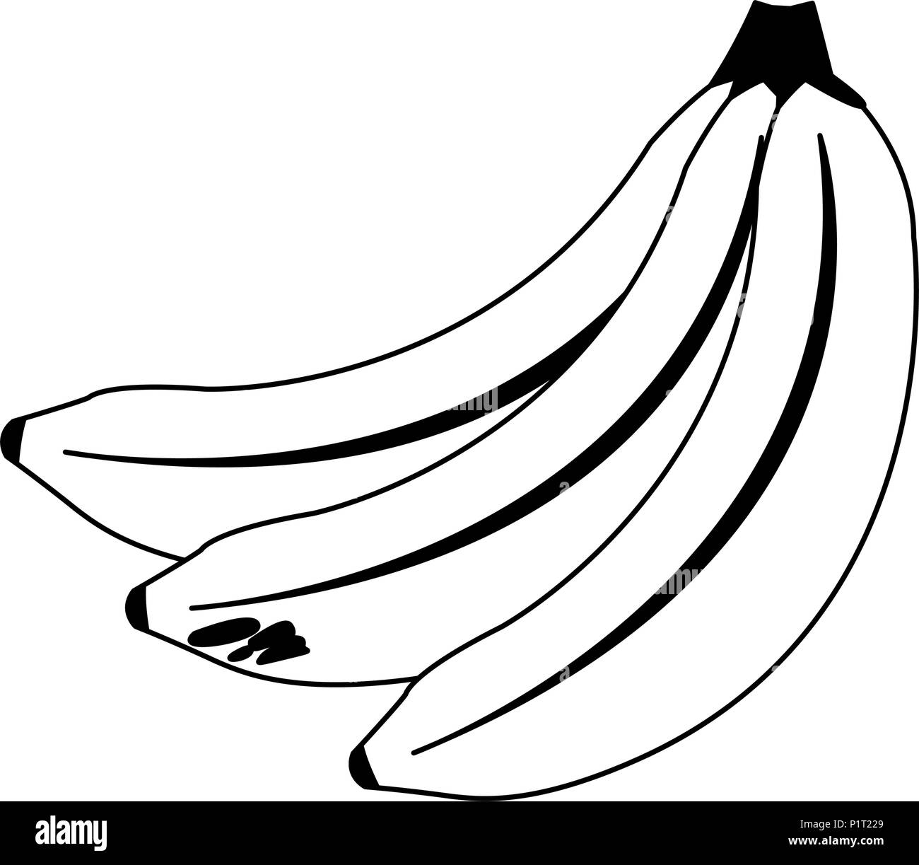 Bananas in black and white Stock Vector Images - Alamy