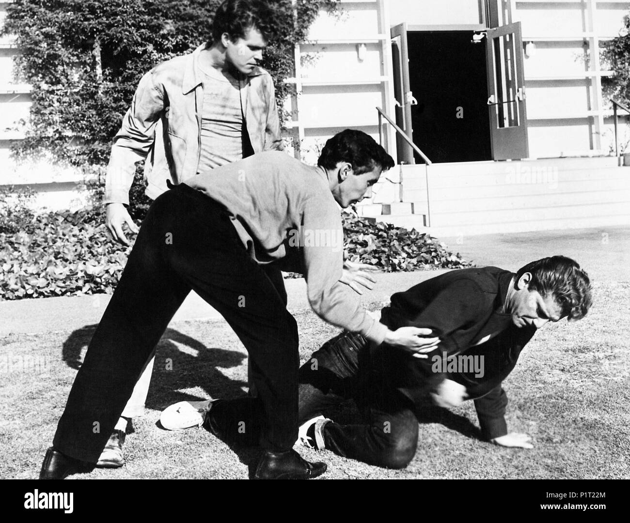 Original Film Title: THE BIG NIGHT. English Title: THE BIG NIGHT. Film ...