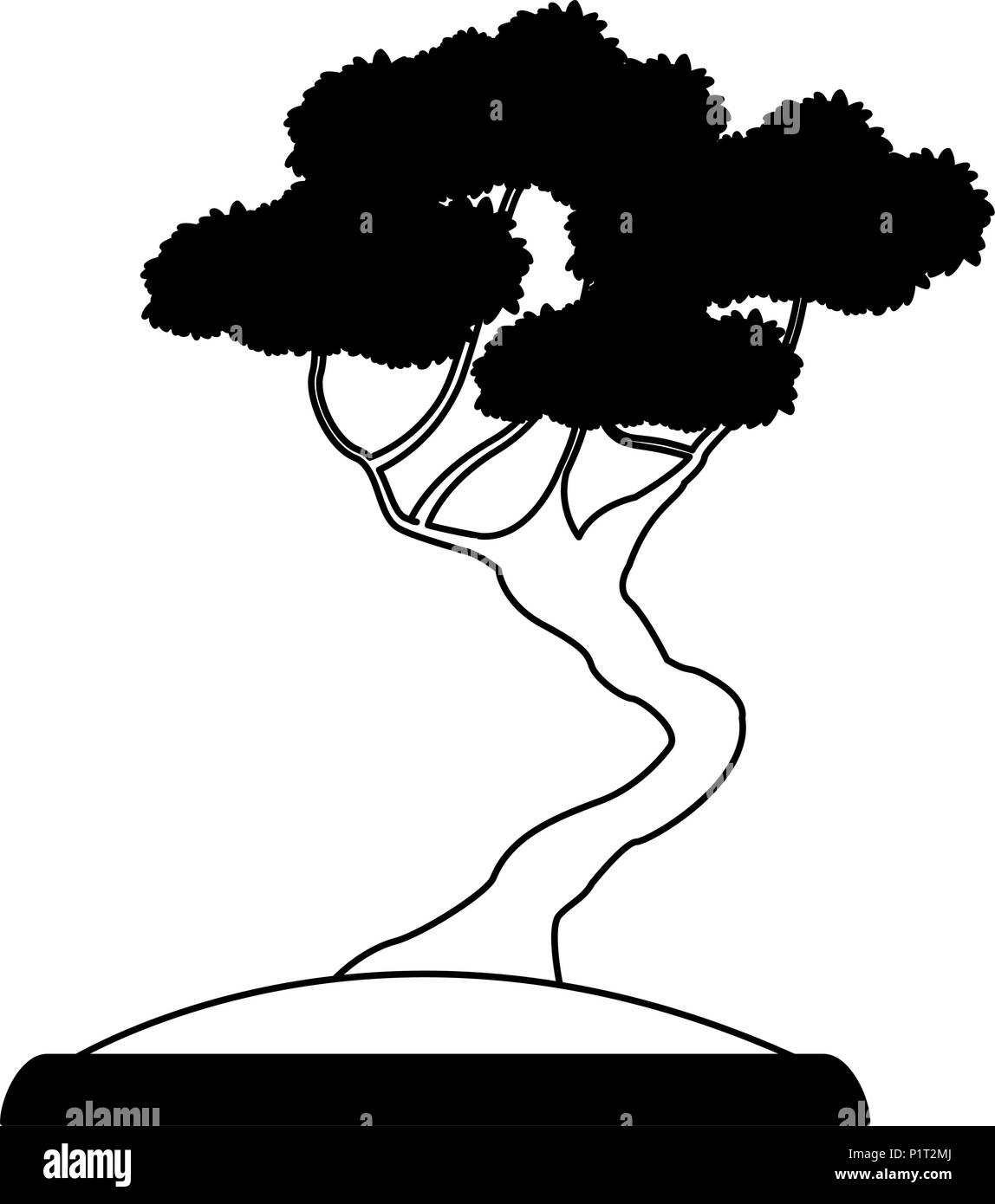 Botanical japanese bonsai garden Black and White Stock Photos & Images ...