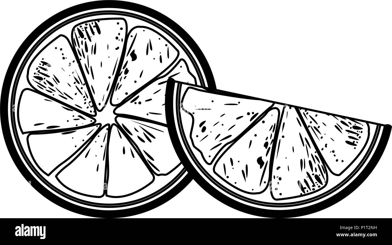 Orange fruit sliced in Stock Vector Images - Alamy