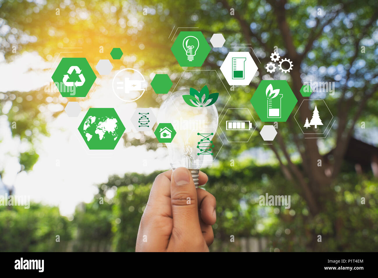 green energy concept energy sources sustainable Ecology Elements Stock ...