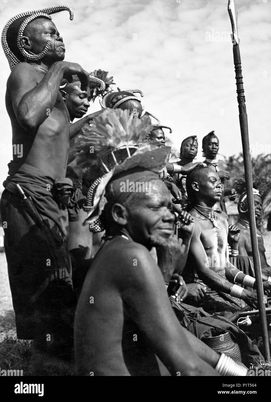 Bongolo hi-res stock photography and images - Alamy