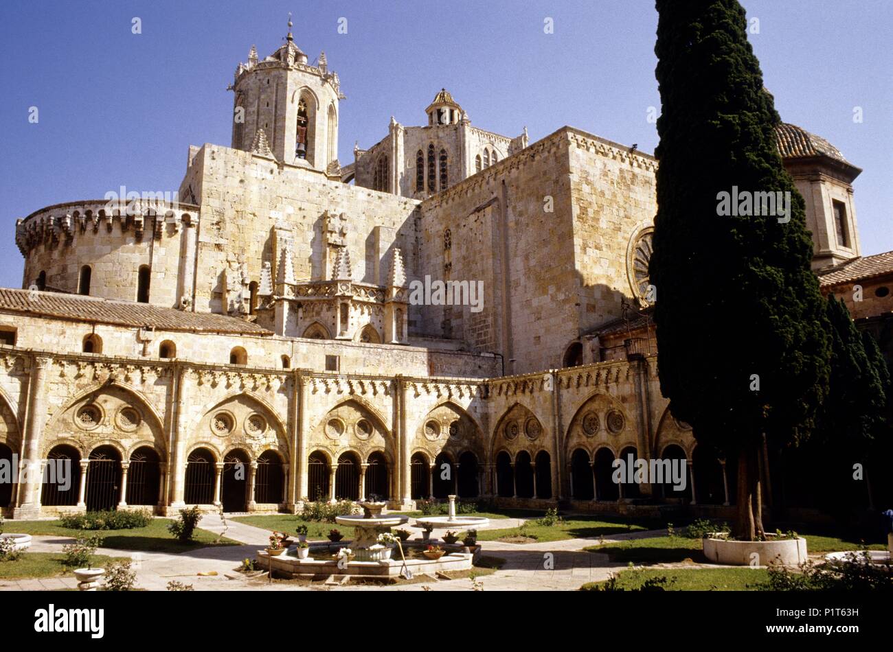 Cathedral from the cloister / apse Stock Photo - Alamy