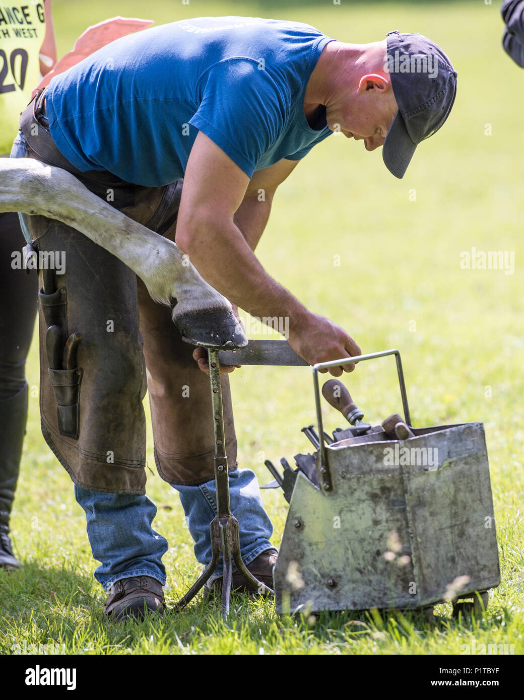 Farrier hi-res stock photography and images - Alamy