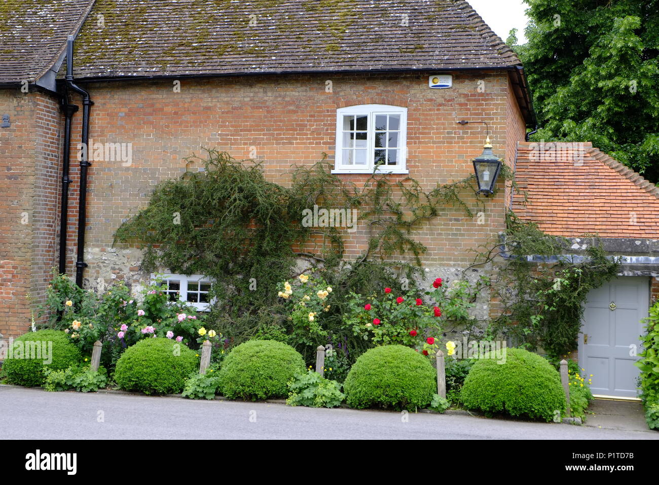 Cottage roses around the door hi-res stock photography and images - Alamy