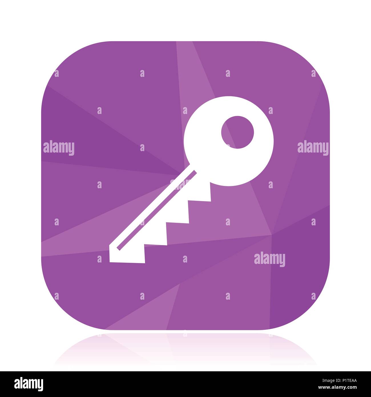Key flat vector icon. Enter violet web button. Secure internet square ...