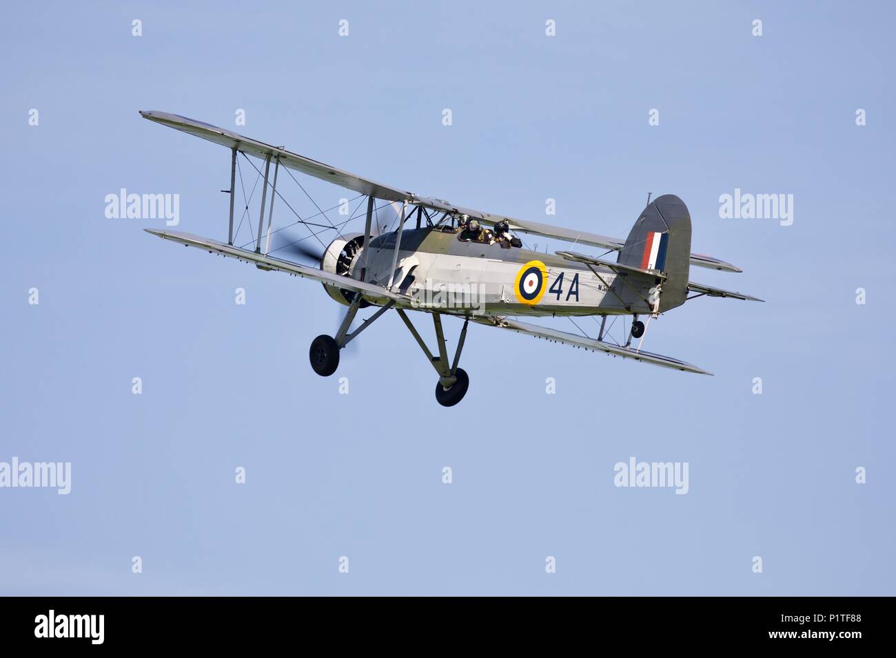 British fairy swordfish hi-res stock photography and images - Alamy