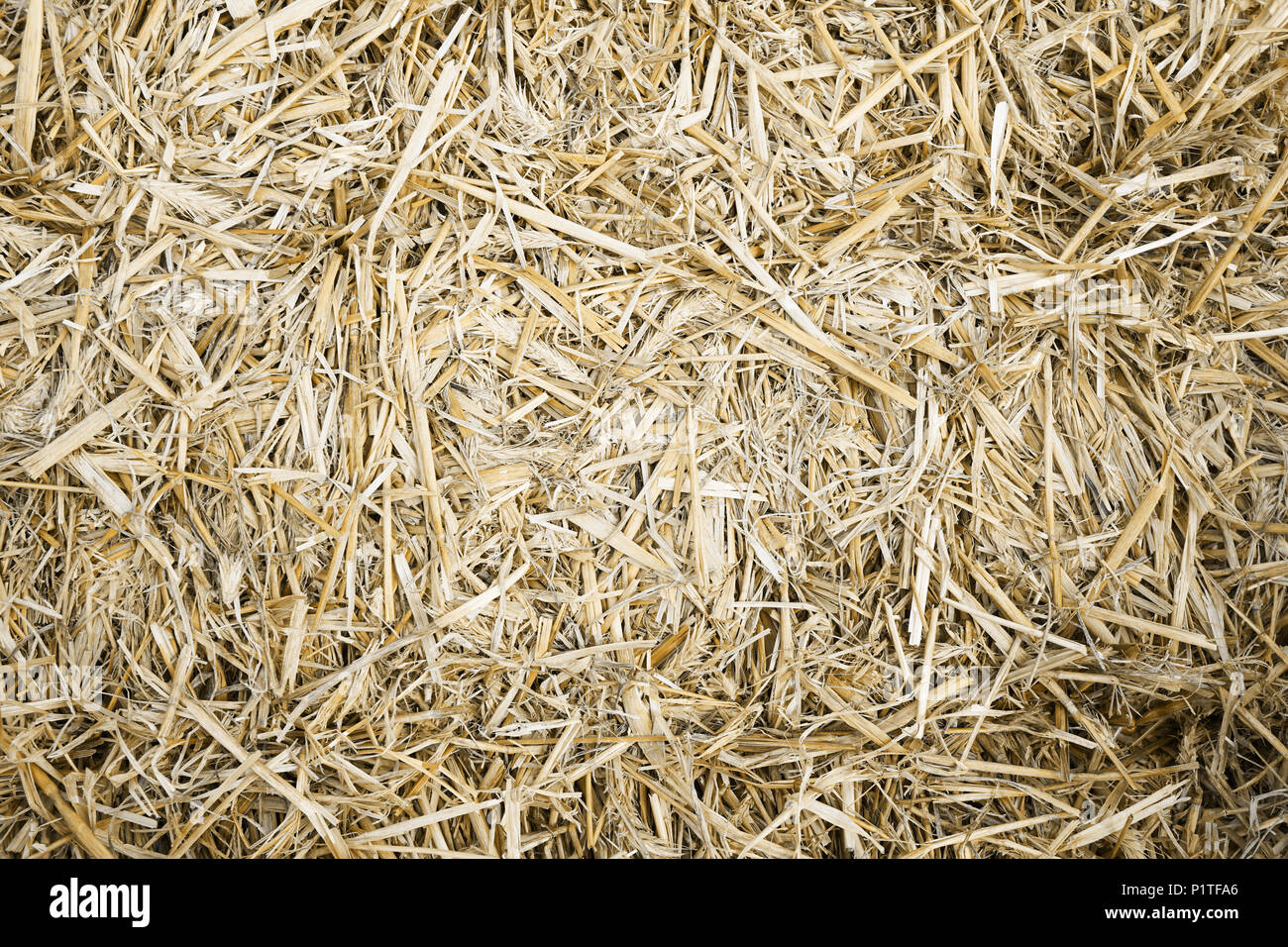 Straw bale texture hi-res stock photography and images - Alamy