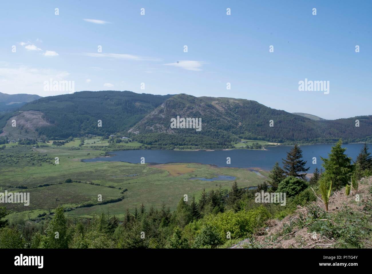 Look out point hi-res stock photography and images - Alamy