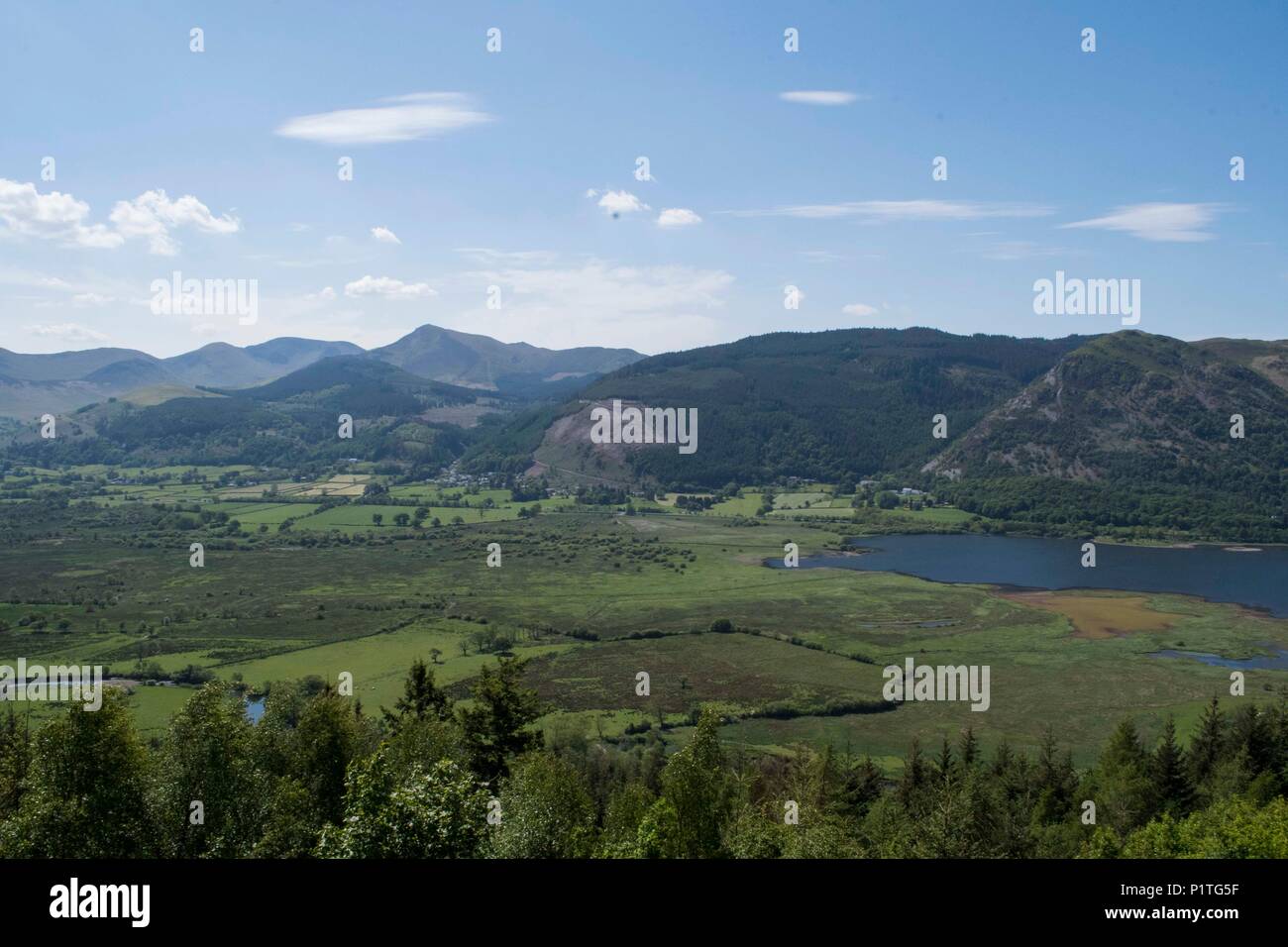 Osprey look out point hi-res stock photography and images - Alamy