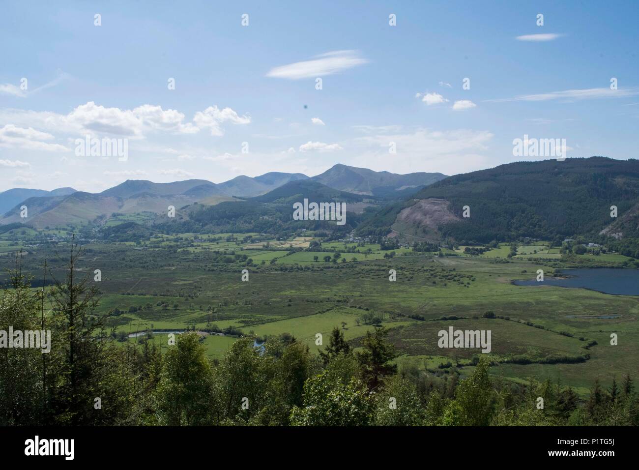 Osprey look out point hi-res stock photography and images - Alamy