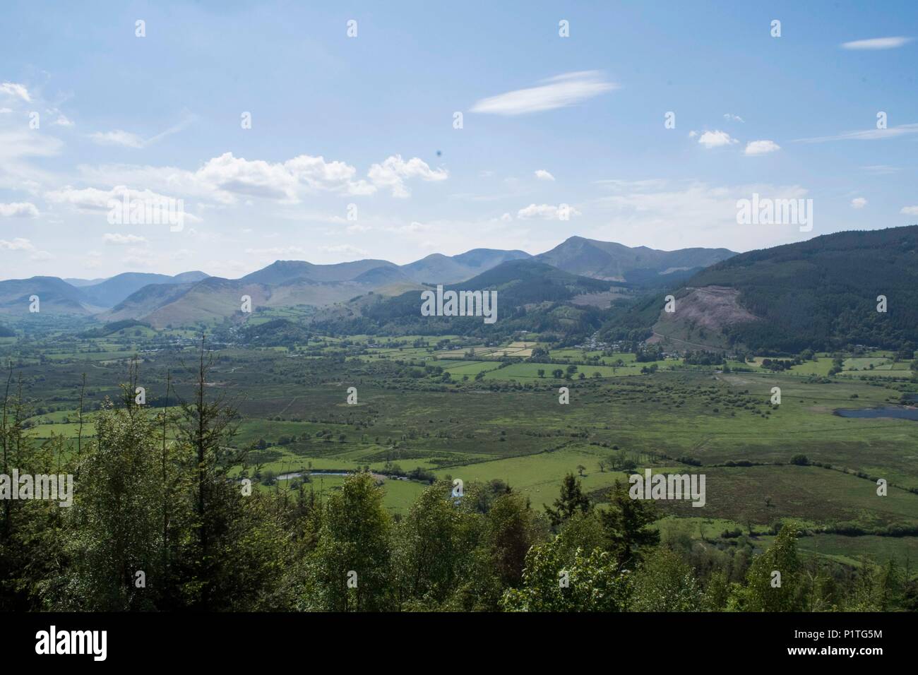 Osprey look out point hi-res stock photography and images - Alamy