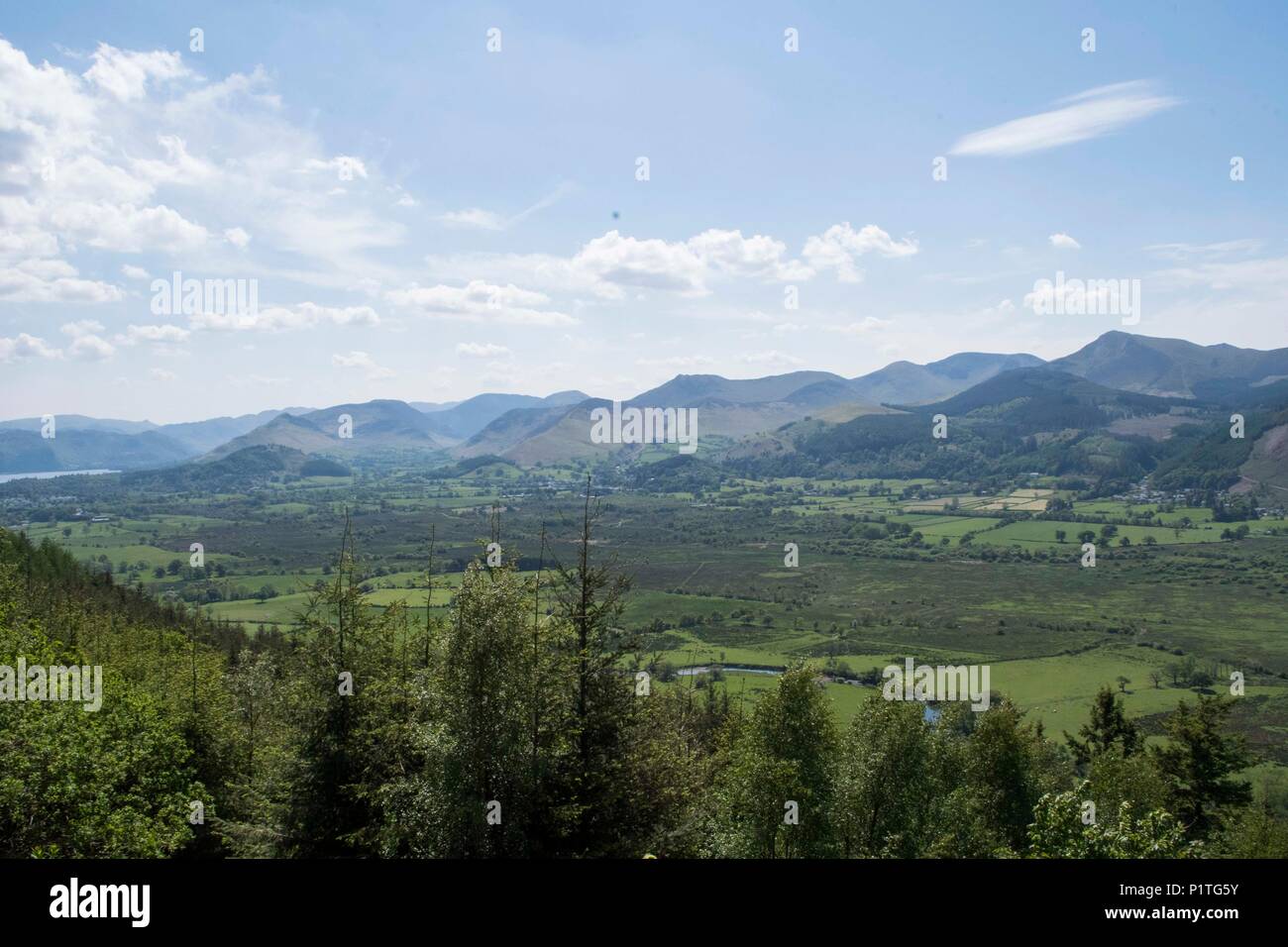 Osprey look out point hi-res stock photography and images - Alamy