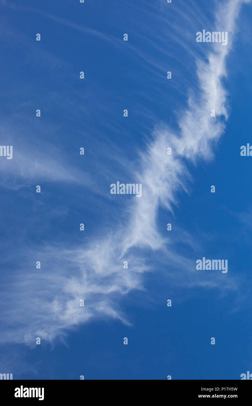 patterns and texture of blue sky background with white wispy feather ...